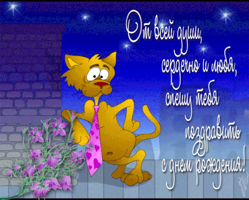 Прикольные гифки с днем рождения мужчине (70 картинок)